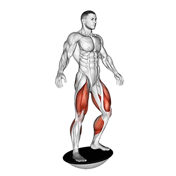 All Fours Squad Stretch vs Balance Board: Which Is Better? – Fitness Volt