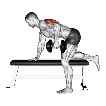 Dumbbell Kickback vs Dumbbell Lying Extension (across Face): Which Is ...