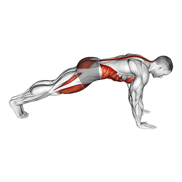 Jack Burpee vs Mountain Climber: Which Is Better? – Fitness Volt