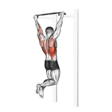 Bodyweight Squatting Row (with Towel) vs Pull-up: Which Is Better ...