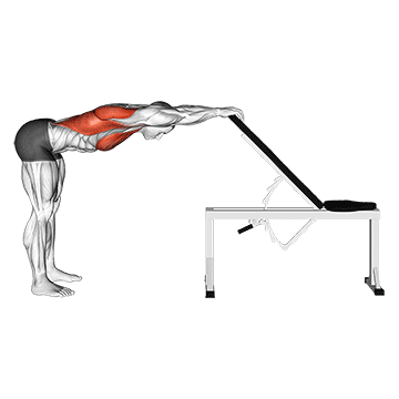 Back Pec Stretch vs Pull-up: Which Is Better? – Fitness Volt