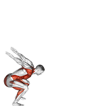 Balance Board vs Forward Jump: Which Is Better? – Fitness Volt