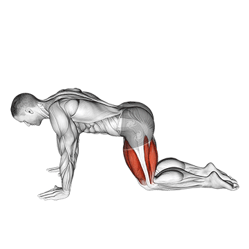 All Fours Squad Stretch vs Balance Board: Which Is Better? – Fitness Volt