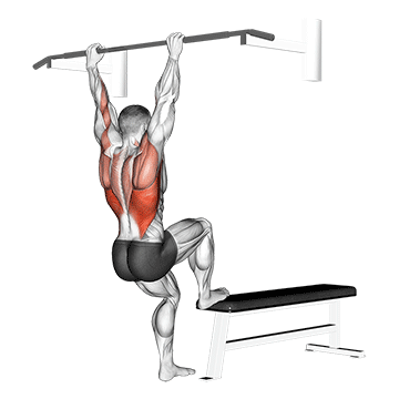 Bench Pull-ups vs Pull-up: Which Is Better? – Fitness Volt