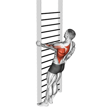 Bodyweight Standing Close-grip One Arm Row vs L-pull-up: Which Is ...