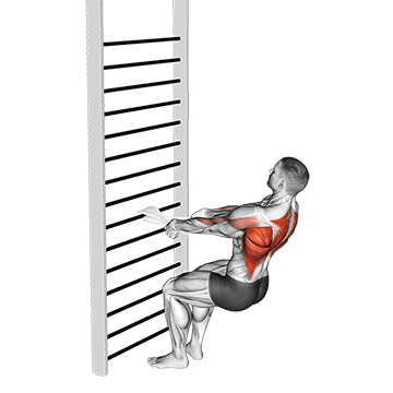 Bodyweight Squatting Row (with Towel) vs L-pull-up: Which Is Better ...