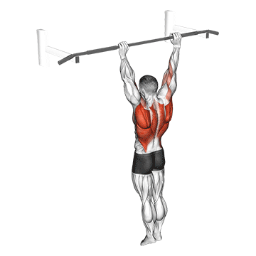 Archer Pull Up vs Pull-up: Which Is Better? – Fitness Volt