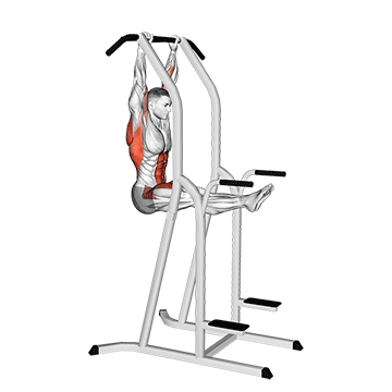 Bodyweight Squatting Row (with Towel) vs L-pull-up: Which Is Better ...