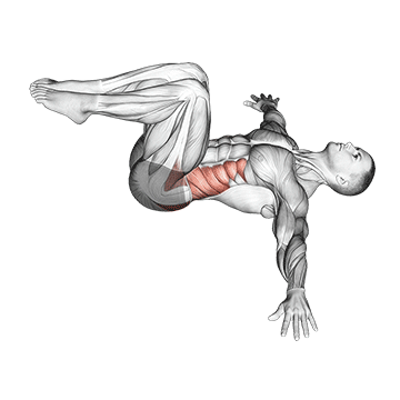 Bent Knee Lying Twist (male) vs Bodyweight Drop Jump Squat: Which Is ...