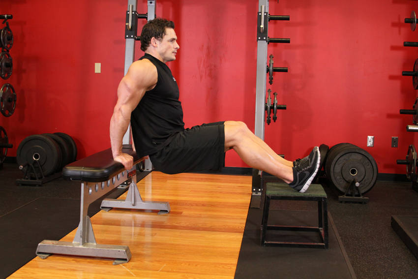 Bench Dips Strength Standards for Men and Women | Fitness Volt