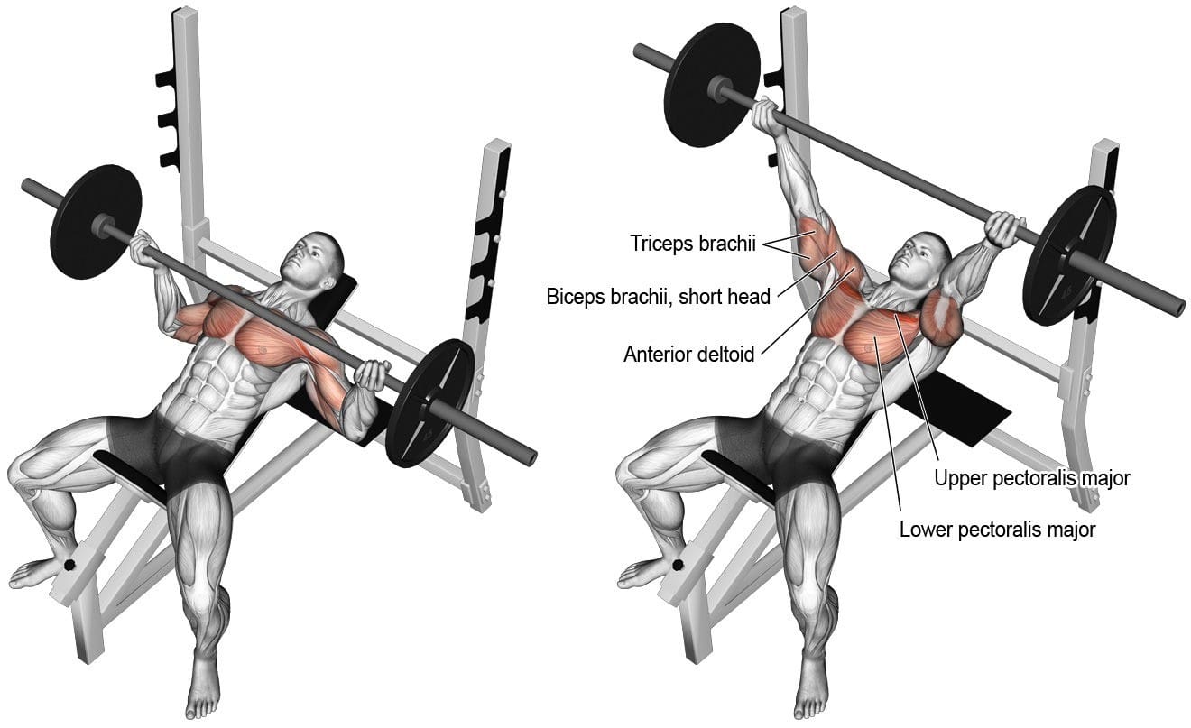 Reverse Grip: A Great Alternative For Your Upper Chest – Fitness Volt