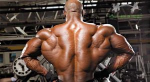 Back Training 101: Build Your Back – Fitness Volt