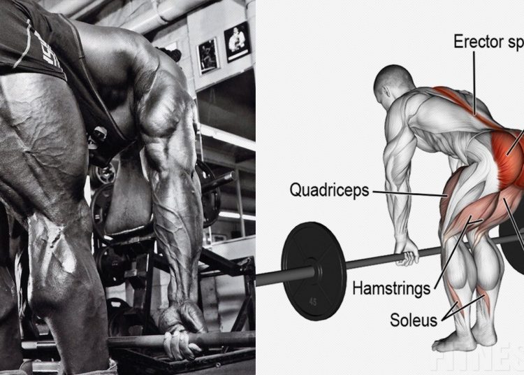 The Jefferson Deadlift: Straddle The Barbell For Big Gains – Fitness Volt