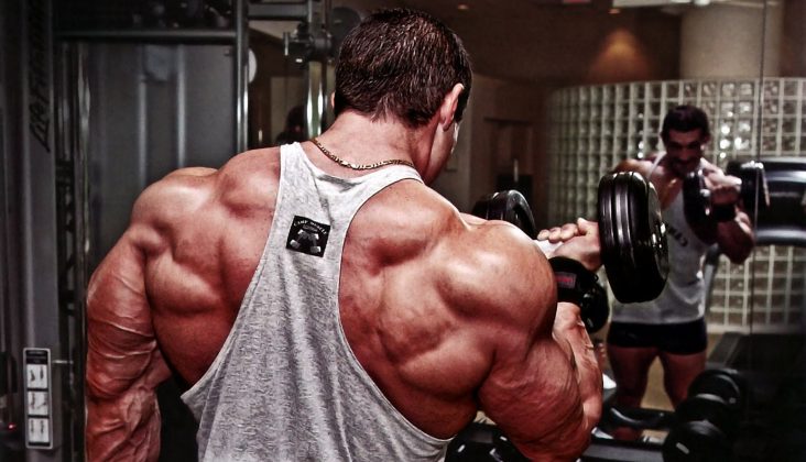 Periodization: Muscle Strength And Growth – Fitness Volt