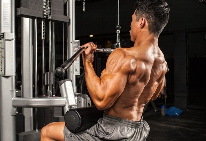 High Reps vs. Low Reps: Which Rep Scheme Is Best? – Fitness Volt