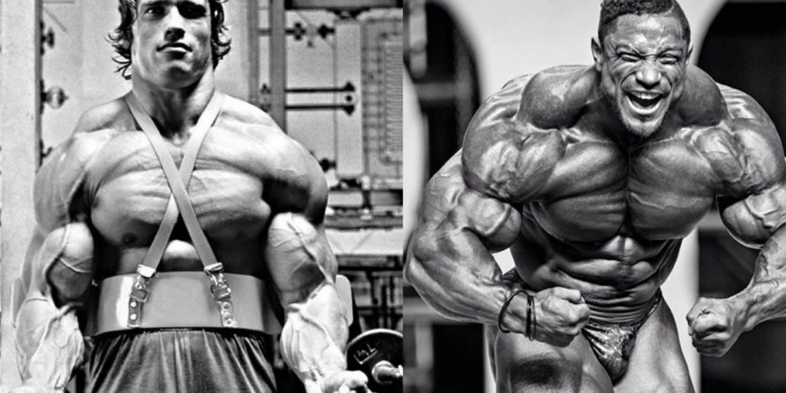 Essential Nutrients Archives – Fitness Volt