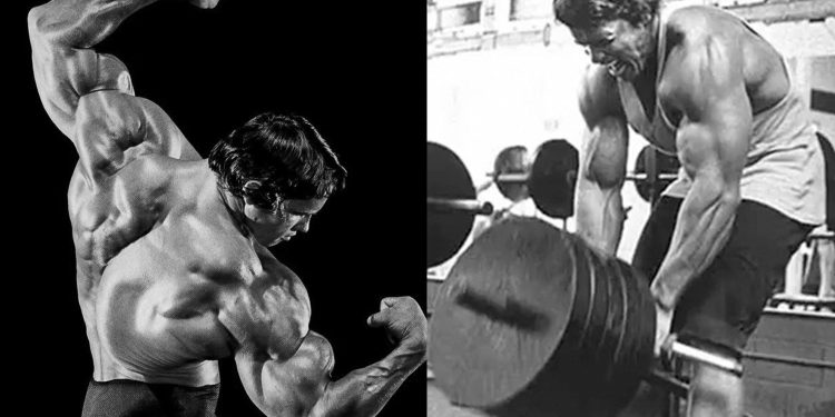 Workouts Archives – Page 41 of 42 – Fitness Volt