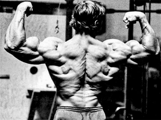 Best Back Exercises: Arnold Schwarzenegger Version – Fitness Volt