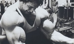 Best Back Exercises: Arnold Schwarzenegger Version – Fitness Volt