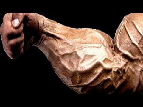 WATCH: Frank McGrath The Most Vascular Bodybuilder Of All Times ...