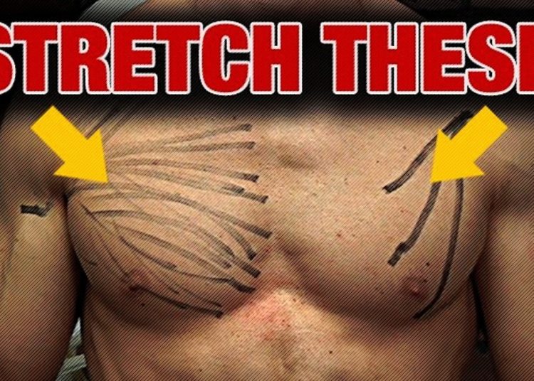 WATCH: Chest Day With Big Ramy – Fitness Volt