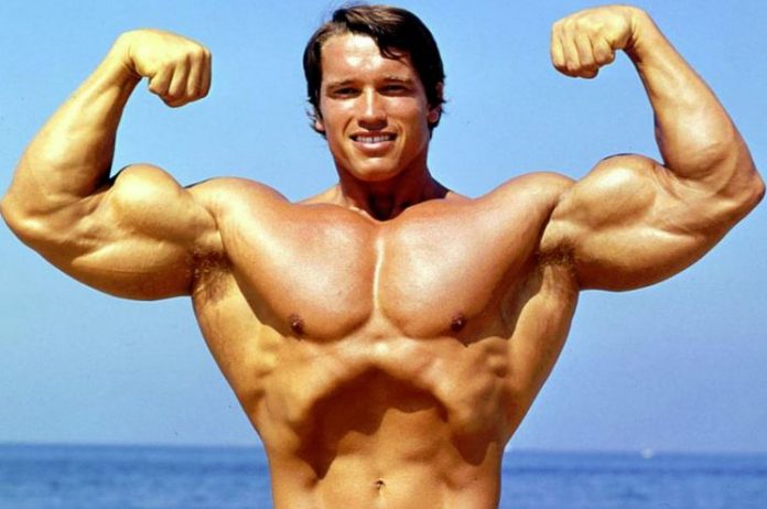 10 Best Long Head Biceps Exercises for Bigger Arms and A Higher Peak ...