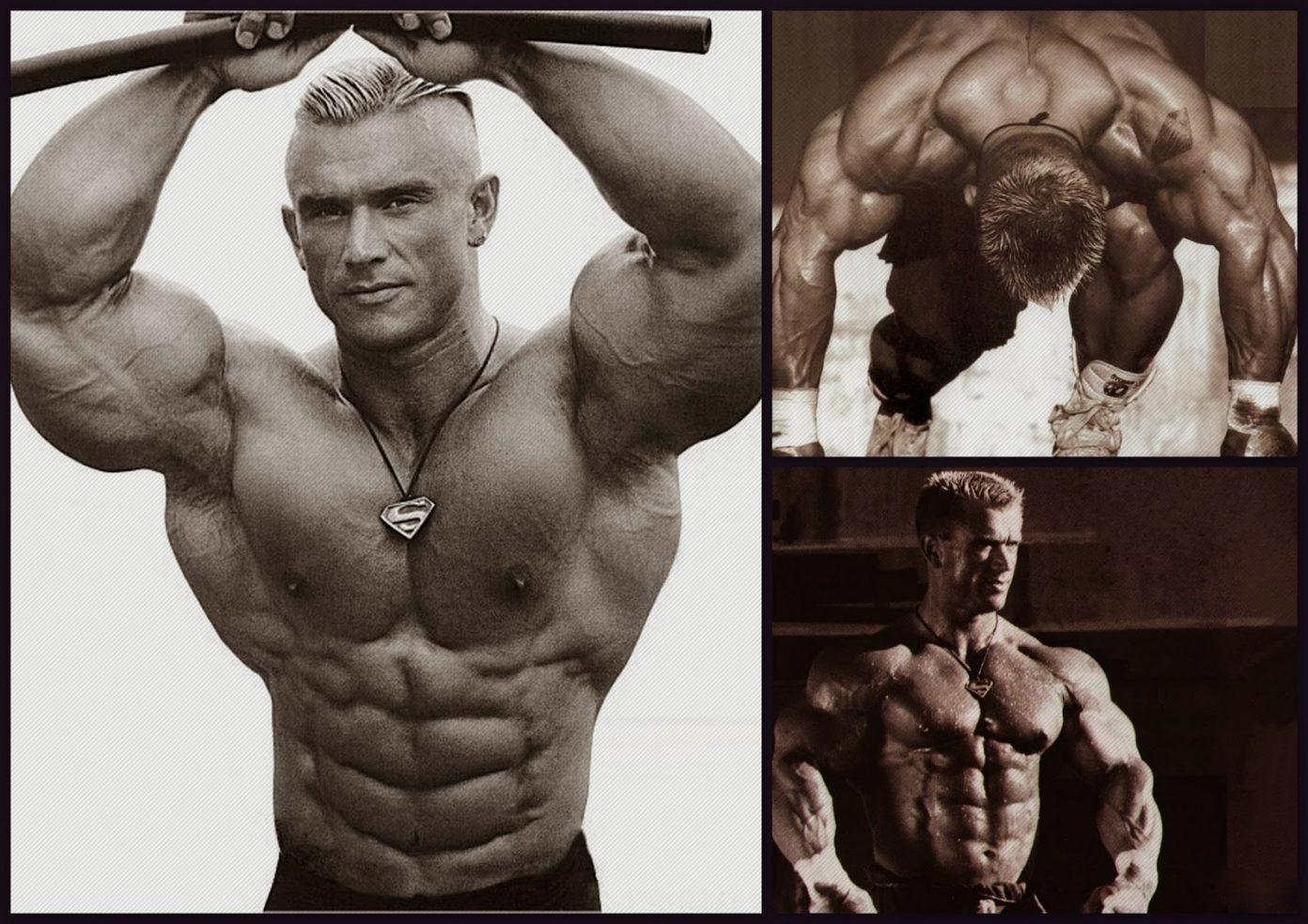 Leaving Humanity Behind: Rules of Arms Workout By Lee Priest – Fitness Volt