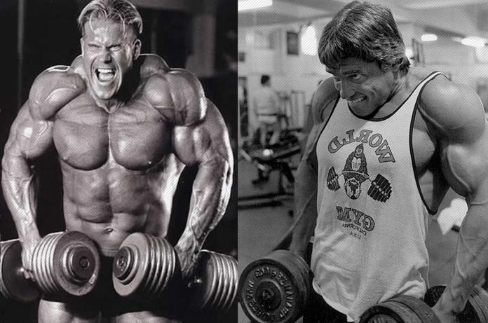 Building Traps: Just Learn To Shrug - Fairly Simple – Fitness Volt