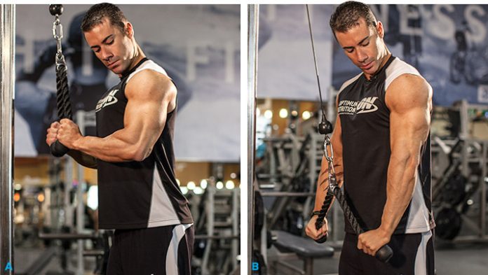 The 5 Common Tricep Training Mistakes How To Correct Them Fitness Volt