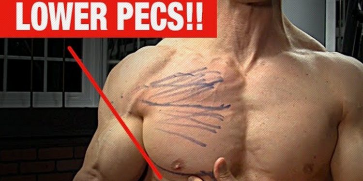 Workouts Archives – Page 27 of 35 – Fitness Volt