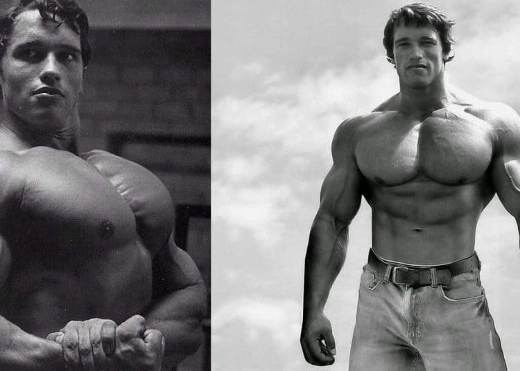 WATCH: Chest Day With Big Ramy – Fitness Volt