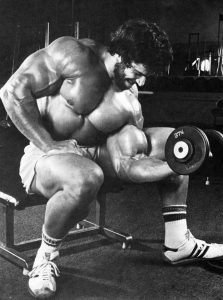 Lou Ferrigno Workout and Diet Program – Fitness Volt