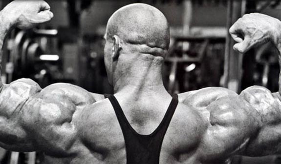 Shoulder Training 101 – Fitness Volt Bodybuilding & Fitness News
