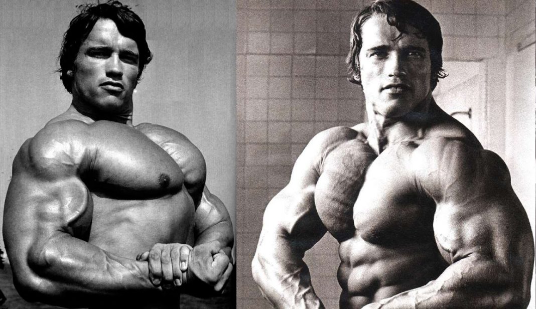 Mammoth Chest: How Schwarzenegger Built The Best Chest In Bodybuilding ...