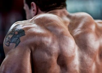 Jeff Nippard Got Boulder Shoulders – Fitness Volt