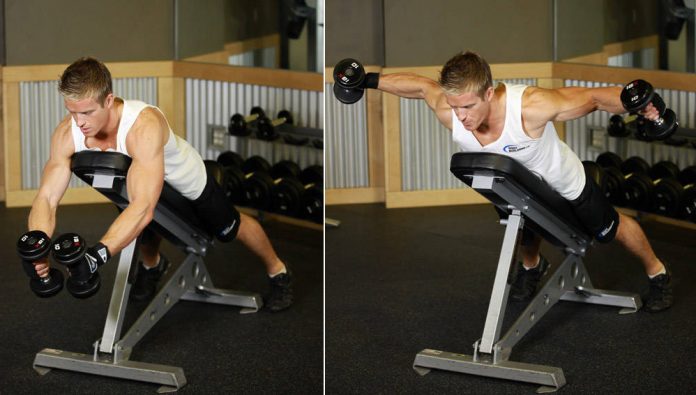 A Head by Head Guide to Deltoid Training – Fitness Volt