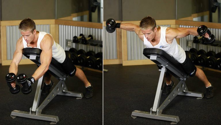 A Head by Head Guide to Deltoid Training – Fitness Volt