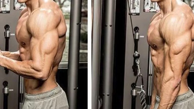 Secret Routines To Build The Size And Shape Of Your Horseshoe Triceps ...