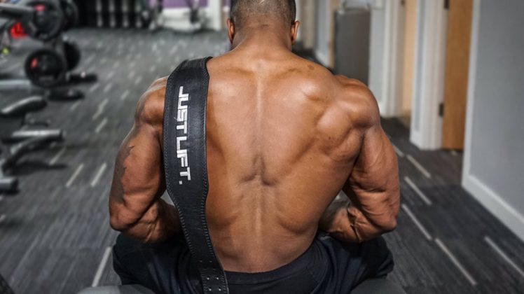 The Best Lifting Accessories You Must Have In Your Bag – Fitness Volt