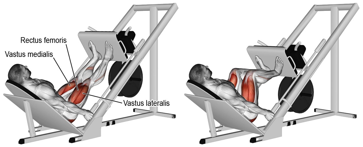 Incline Leg Press: Target Your Quads, Glutes, and More! – Fitness Volt