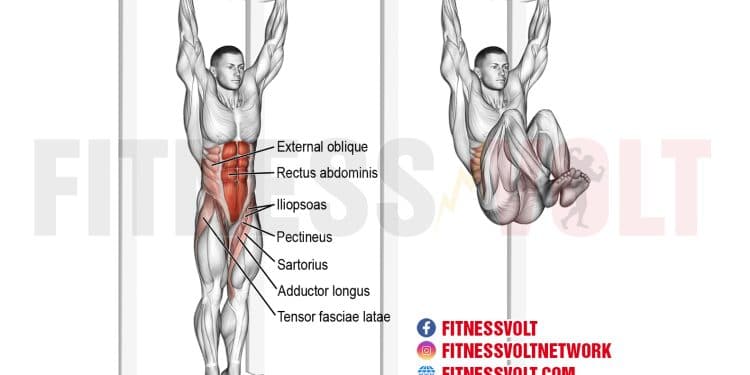 Obliques Archives – Page 8 of 10 – Fitness Volt