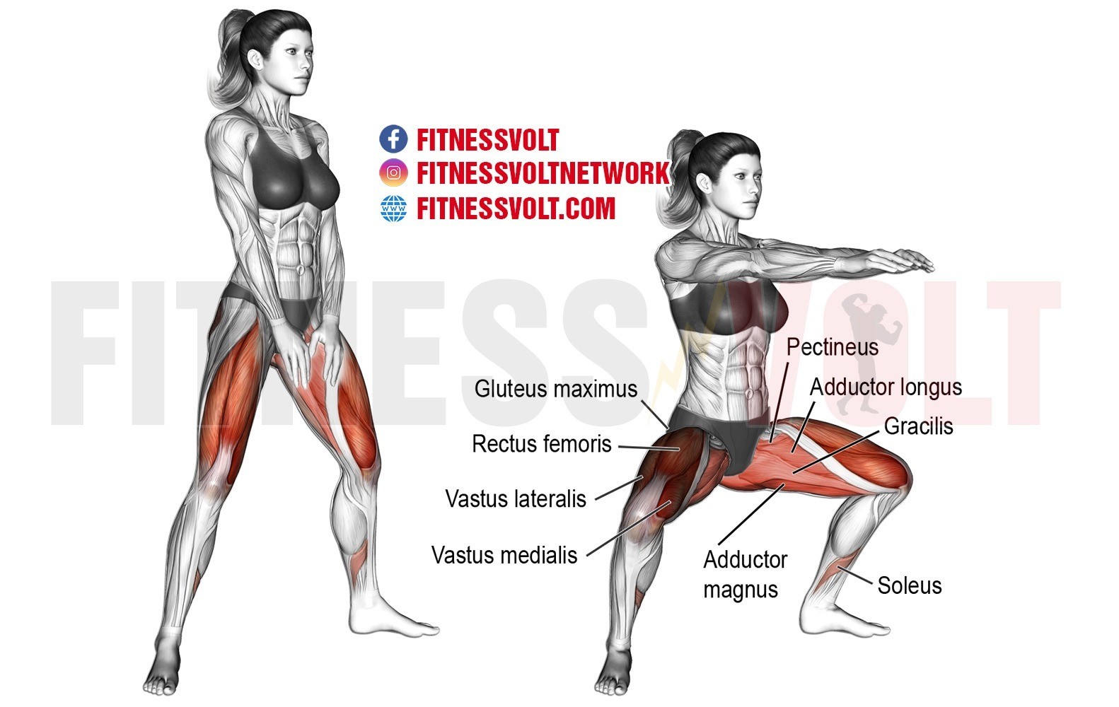 Bodyweight Sumo Squat Legs Fitness Volt Bodyweight Sumo Squat Legs Fitness Volt