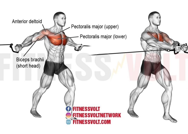 High Cable Cross-over (Chest) – Fitness Volt