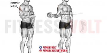 Shoulders Archives – Fitness Volt