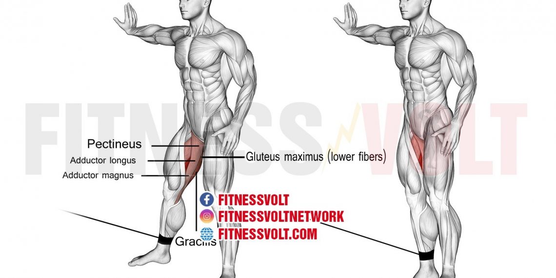 Exercise Guides Archives – Page 14 of 20 – Fitness Volt