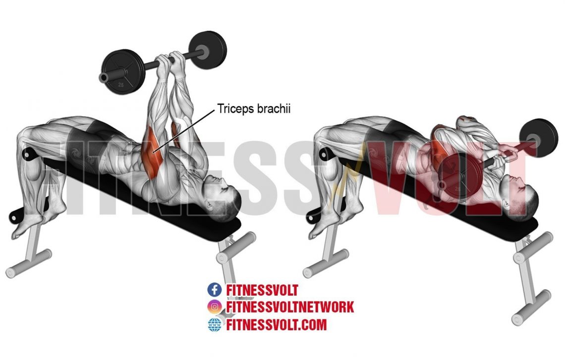 Decline Skull Crusher (Triceps) | Exercise Guides and Videos – Fitness Volt