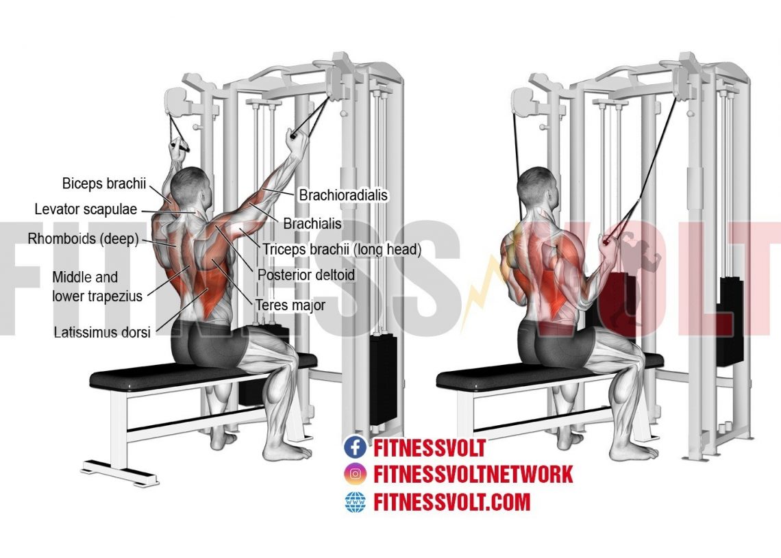 High Cable Cross-over (Chest) – Fitness Volt