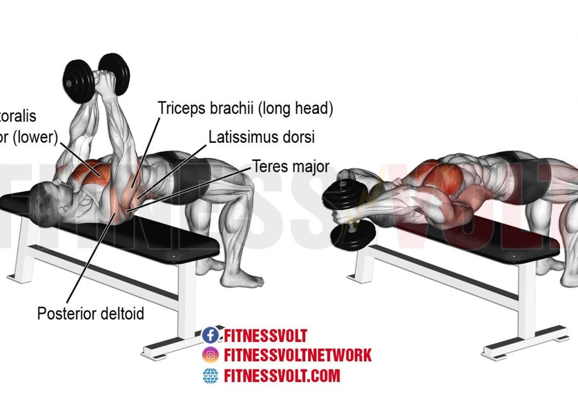 High Cable Cross-over (Chest) – Fitness Volt