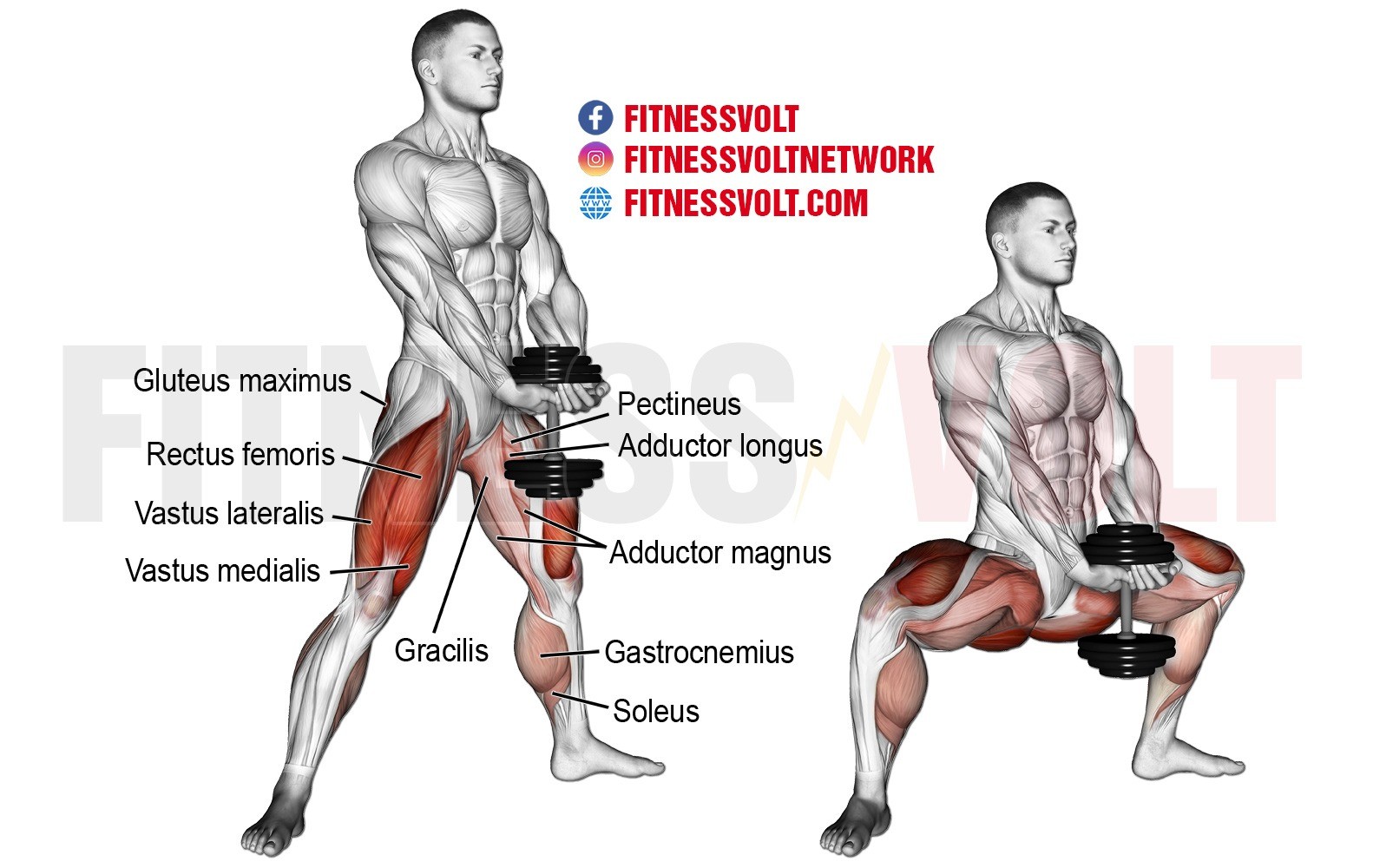 How To Do The Dumbbell Sumo Squat Legs Fitness Volt