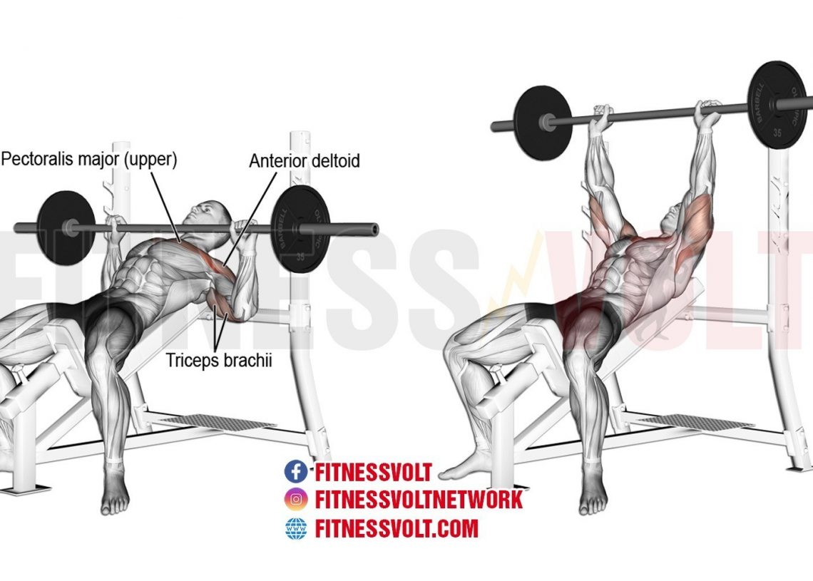 Mastering the Incline Bench Press: Proper Form, Variations, and Common ...